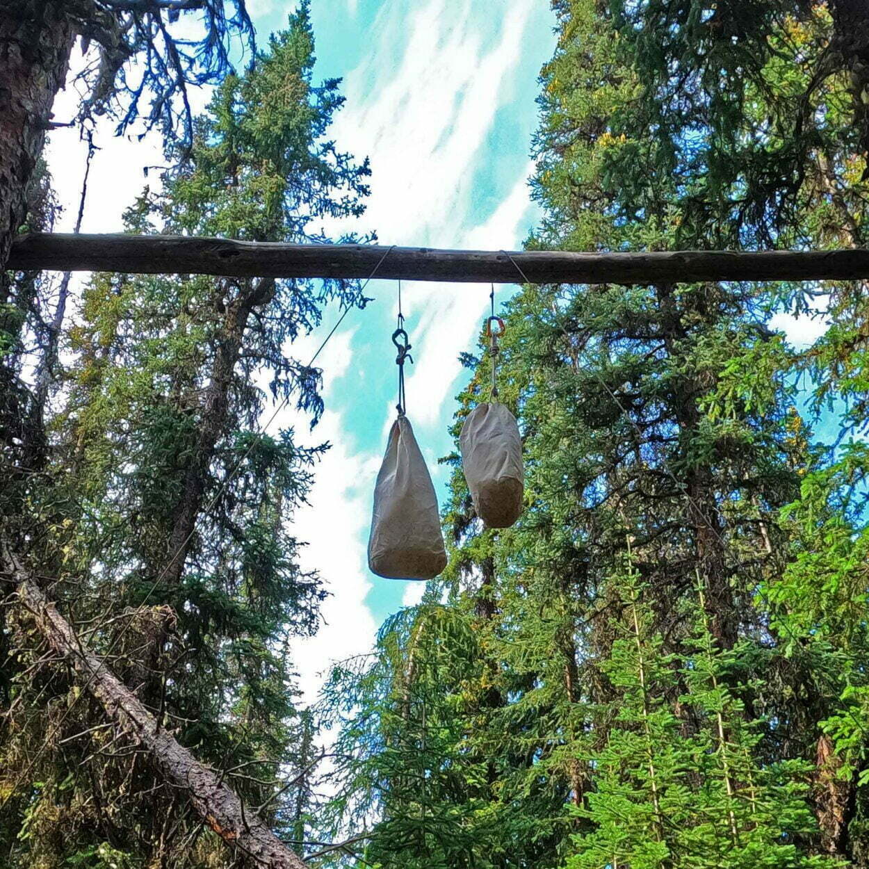 2022 » Ben Goes Hiking