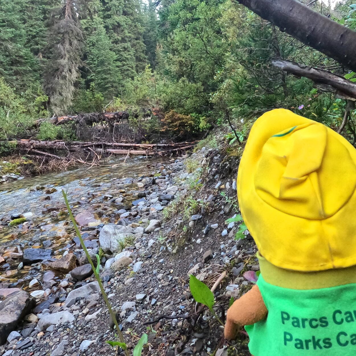 #CanadaStrong Buys for the Patriotic Backpacker » Ben Goes Hiking